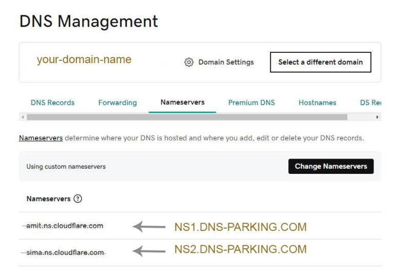 Set GoDaddy to custom nameservers | Zrills